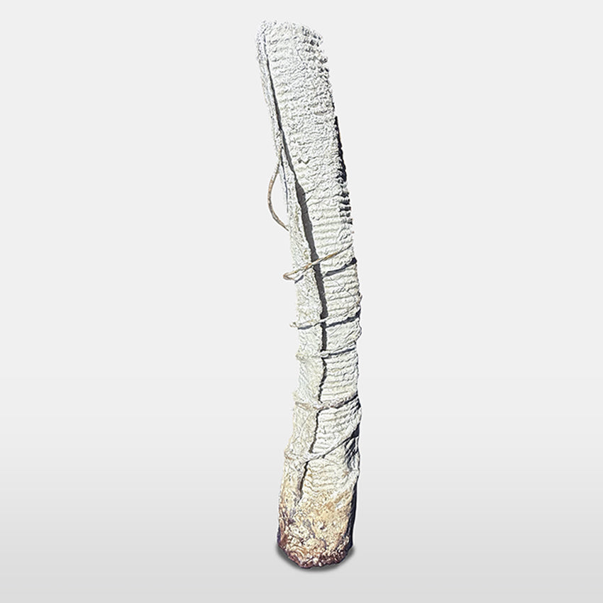No Apology Coming · Vessel IX from Emotional Calculus: Shock – Gallery 327